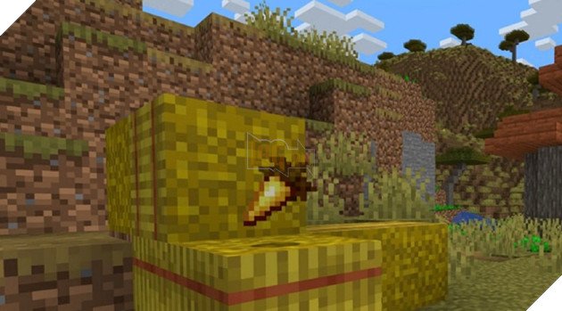 Tổng hợp 5 món ăn tốt nhất để hồi máu, chương trình trị liệu trong ...